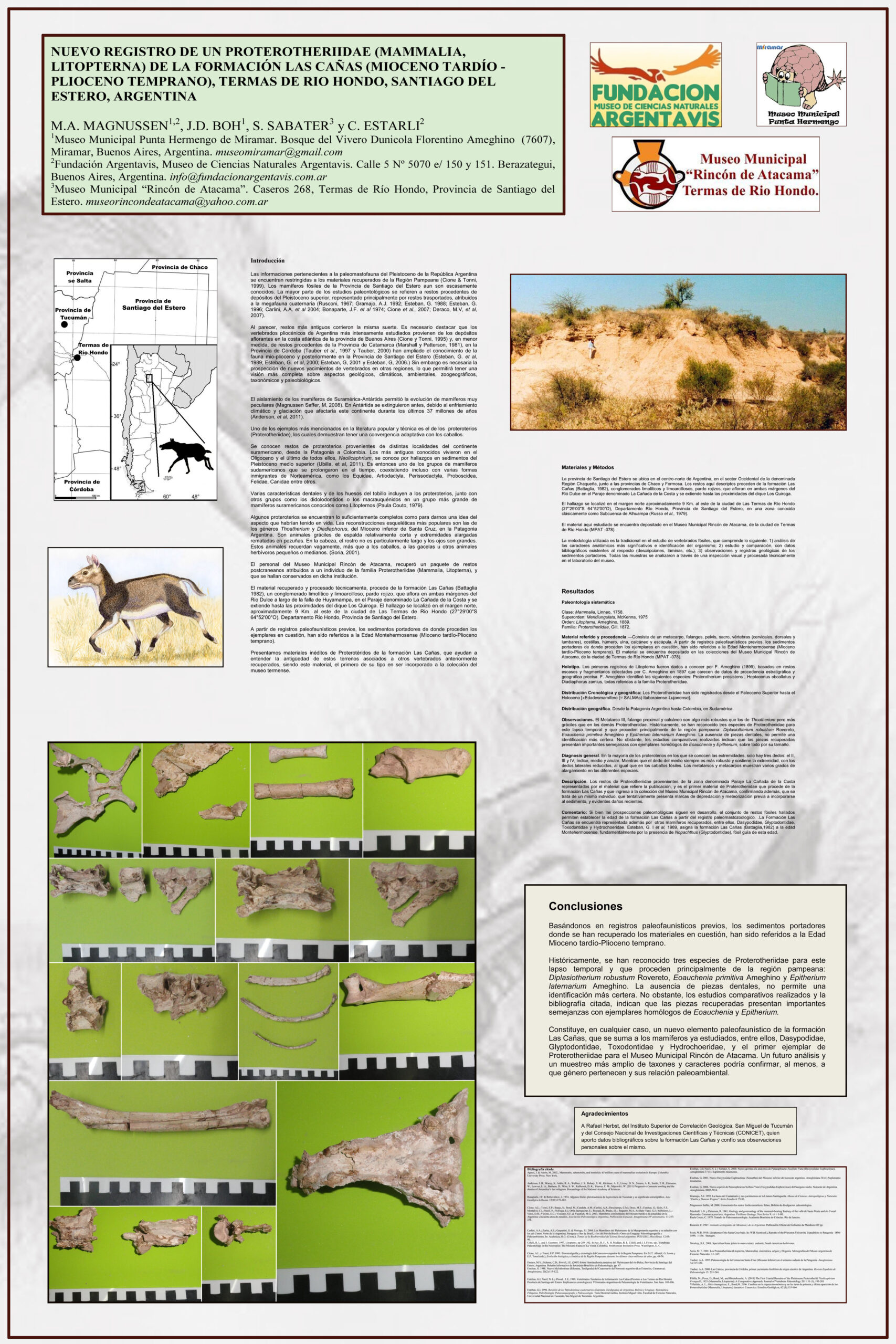 NUEVO REGISTRO DE UN PROTEROTHERIIDAE (MAMMALIA, LITOPTERNA) DE LA ...