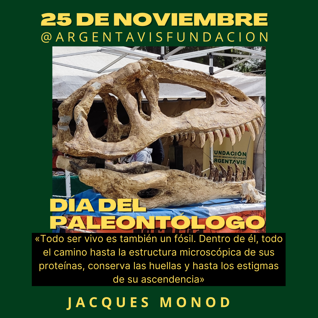 25 de Noviembre | Día del Paleontólogo – Argentavis Fundación